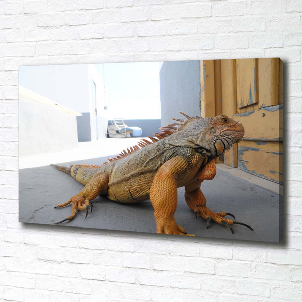 Brayden Studio Leguan - Kunstdrucke auf Leinwand - Wrapped Canvas | Wayfair.de
